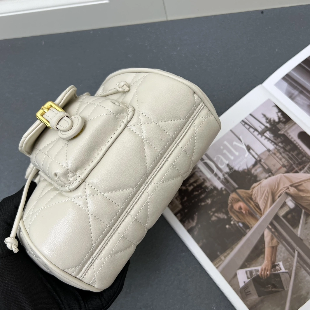 Mirror quality Unique 8972 Christian Dior AAA Quality Backpacks For Women